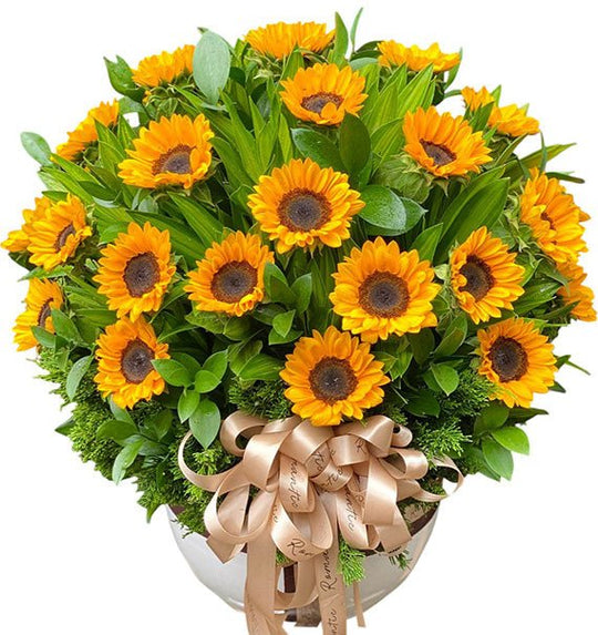 Sunflowers In Ceramic Pot – Saigon Flowers